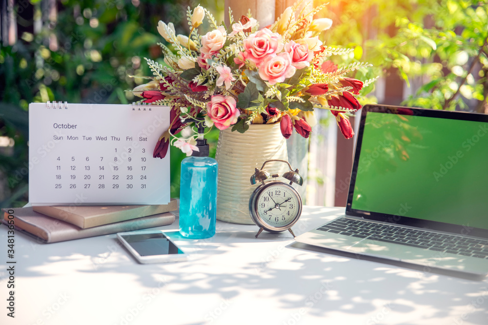 Coronavirus Virus Protection concept. Alcohol gel and hygiene mask To ...