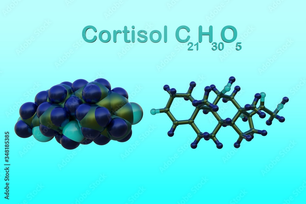 Steroid Structure 3d