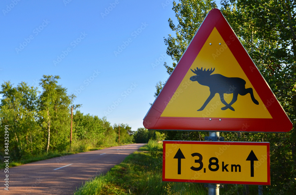 Road sign warning about wild animals in a forest area Stock Photo ...