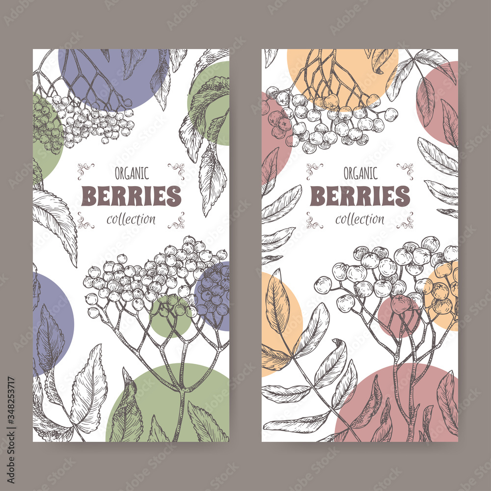 Set of two labels with Sambucus aka elderberry and Rowan aka Sorbus ...