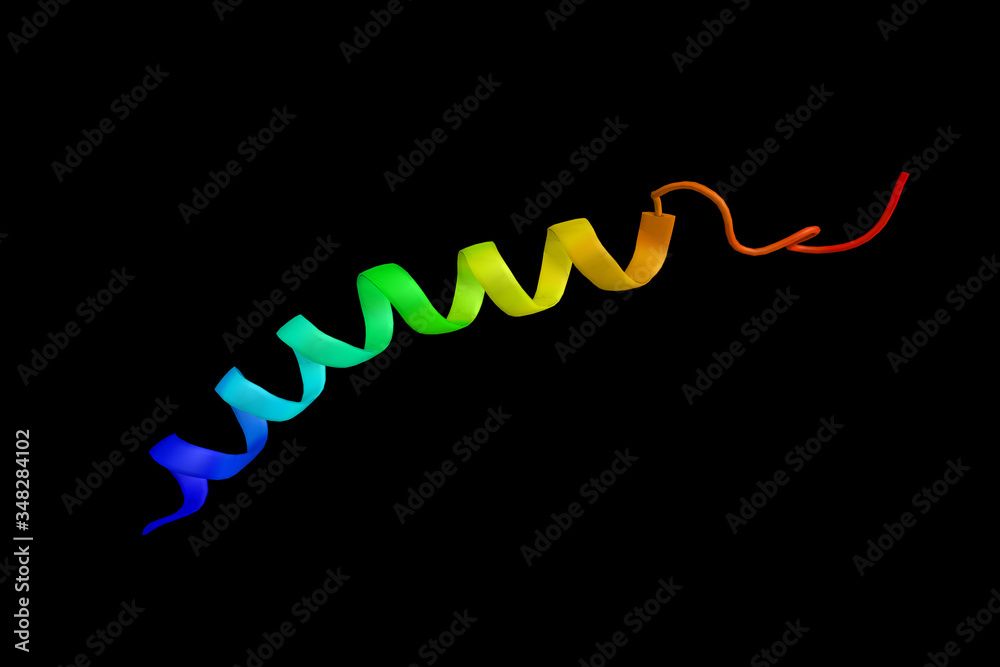 Alpha-2B adrenergic receptor, a subtype of the adrenergic receptor ...