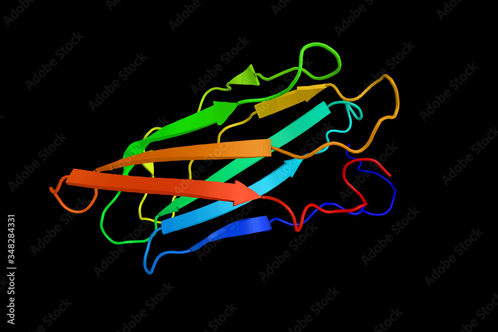 AP-1 complex subunit gamma-like 2, an adaptin. Adaptins are important ...