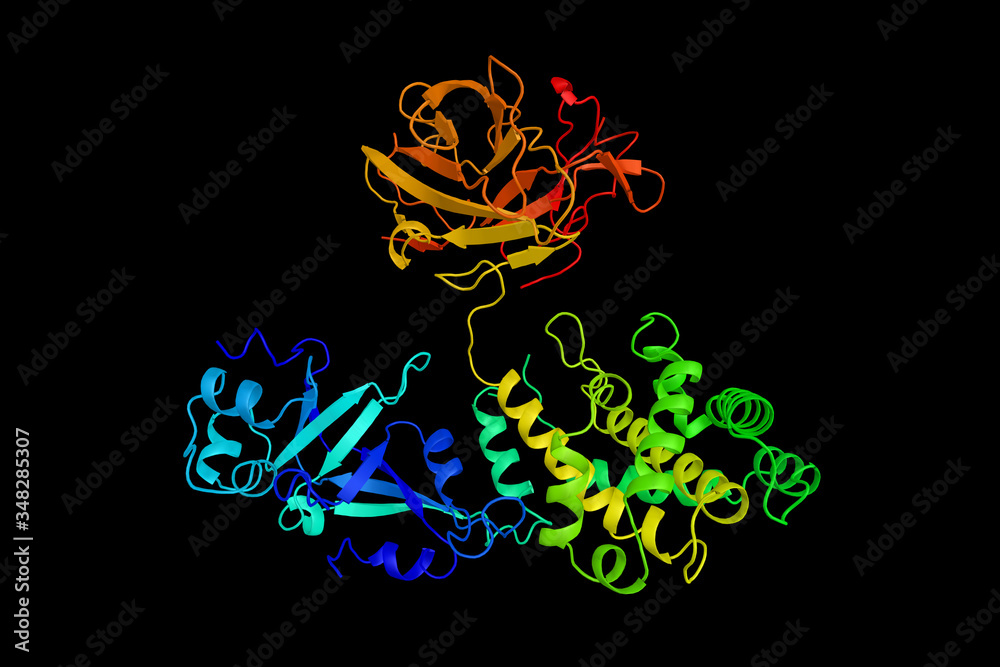 Diphtheria toxin and heparin-binding epidermal growth factor ...