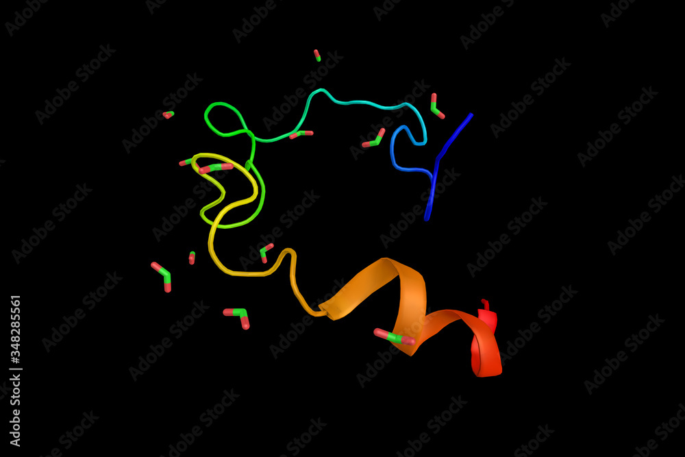 Factor IX (Christmas factor), one of the serine proteases of the ...