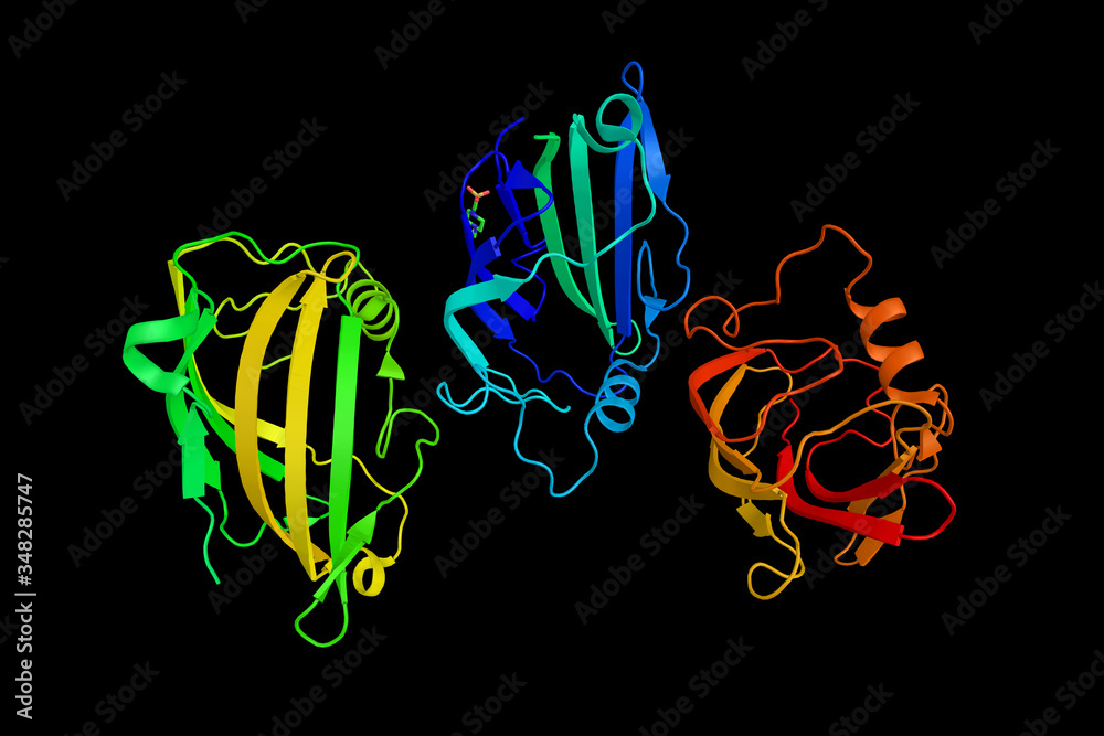 GM2 ganglioside activator, also known as GM2A, a small glycolipid ...