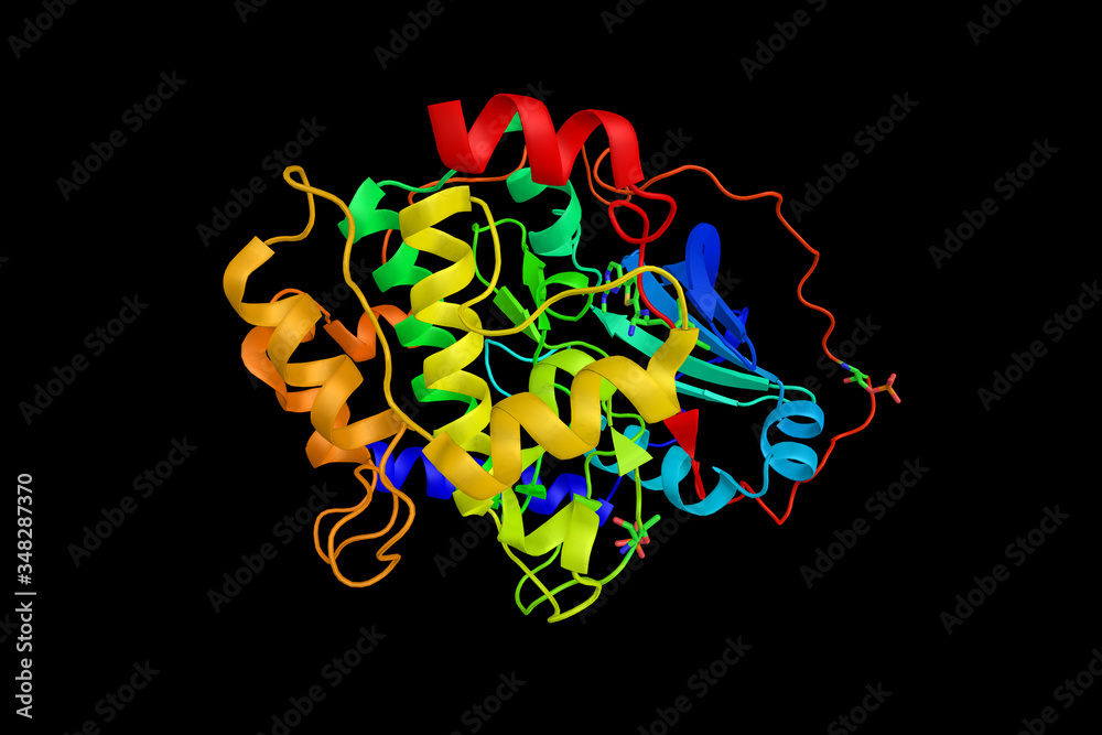 PRKACA, a key regulatory enzyme responsible for phosphorylating other ...
