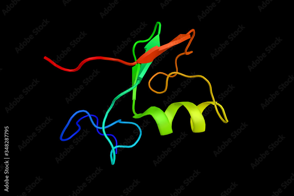 E3 ubiquitin-protein ligase RNF123 an enzyme which contains a RING ...