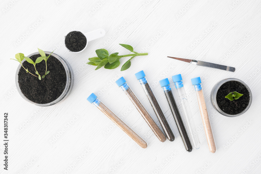 Samples of different types of soil in test tube and green plants in the ...