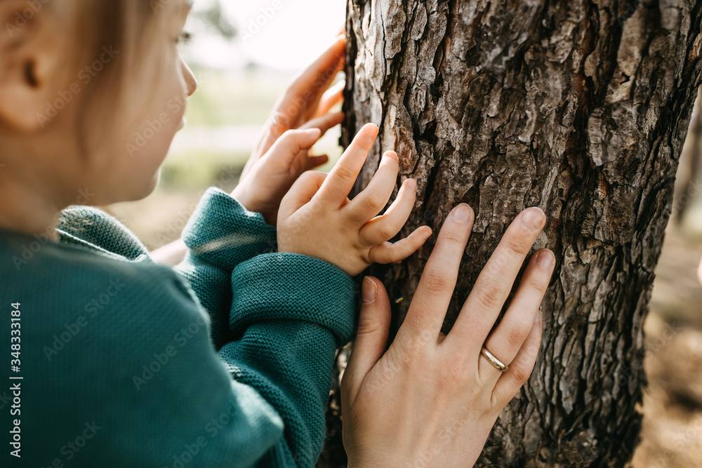 Foto de Close-up of hands of a little girl and a woman, touching a tree ...