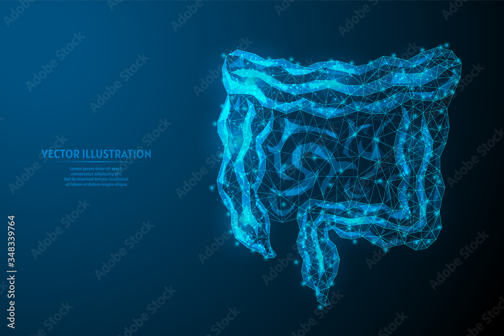 Human intestines close up. Internal organs. Anatomy of the internal ...