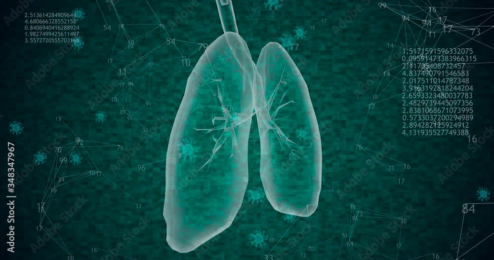 Rotating 360 low polygonal lungs 3D model with coronavirus cells and ...