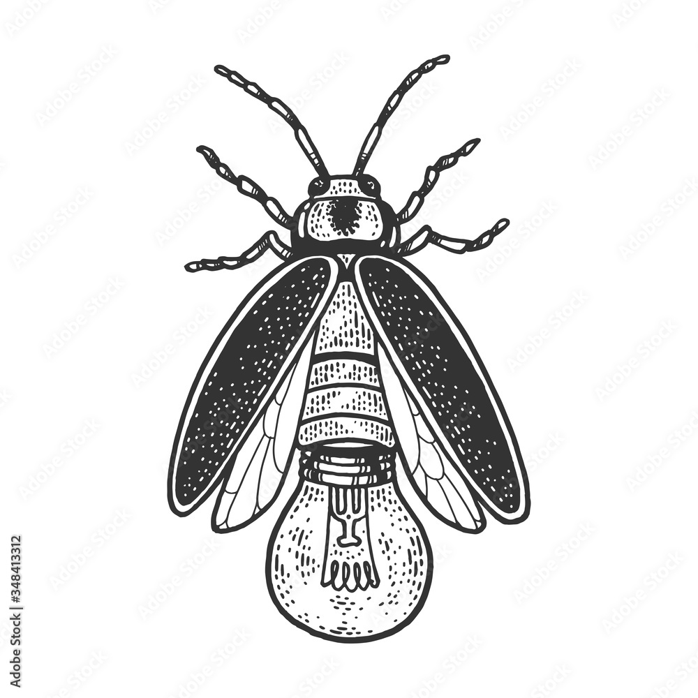 Firefly insect beetle with lamp bulb sketch engraving vector ...