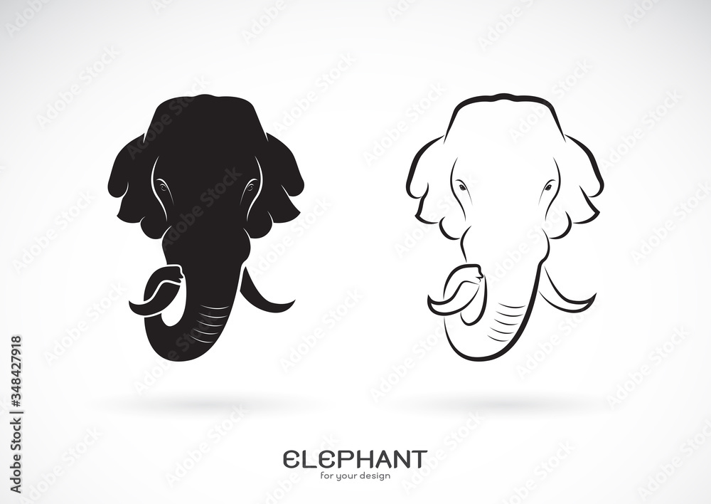 Vector of elephant head design on white background. Wild Animals ...