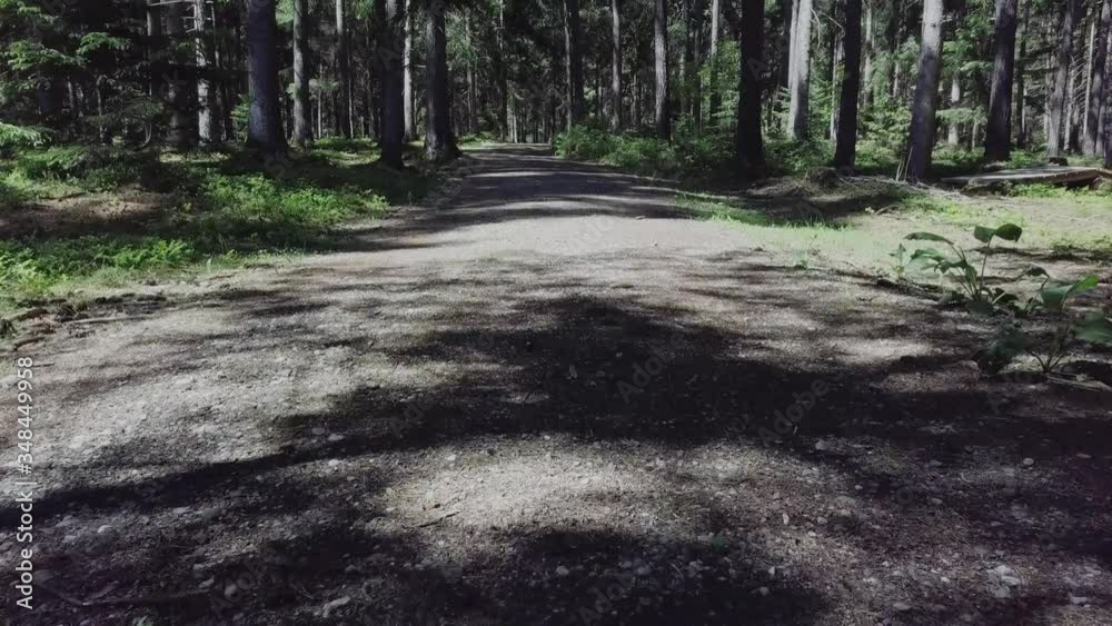 Forrest low angel push in above a forest path drone Stock ビデオ | Adobe Stock