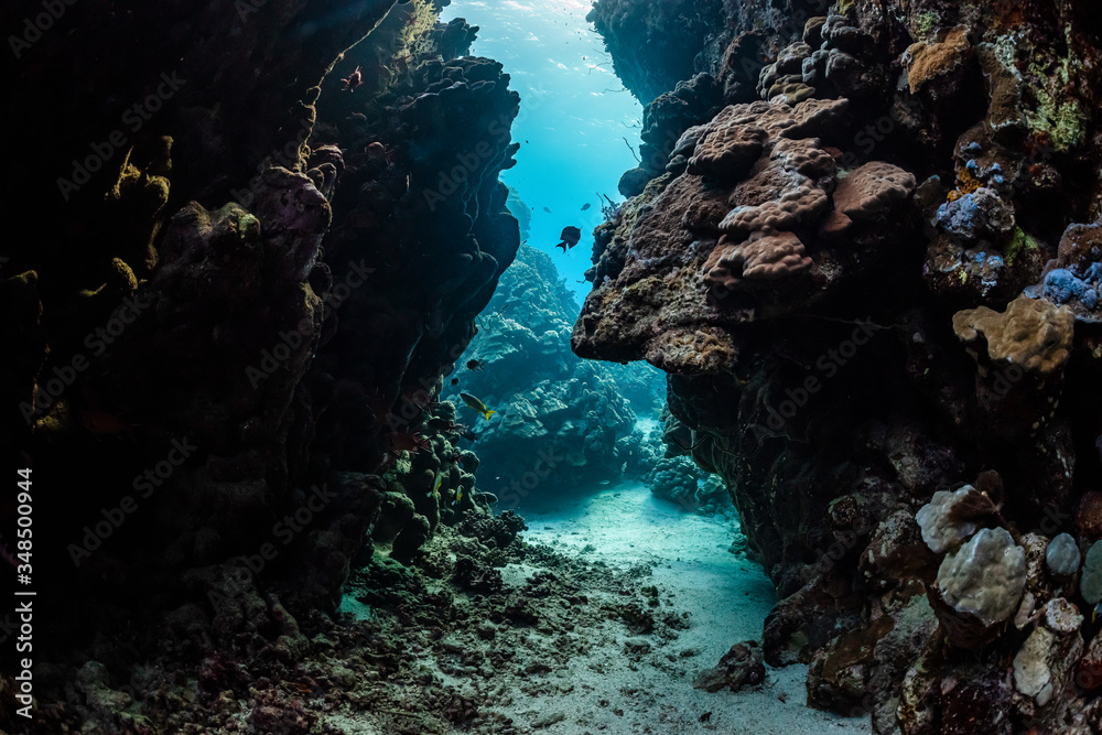 Foto de typical underwater cave in a red sea reef do Stock | Adobe Stock