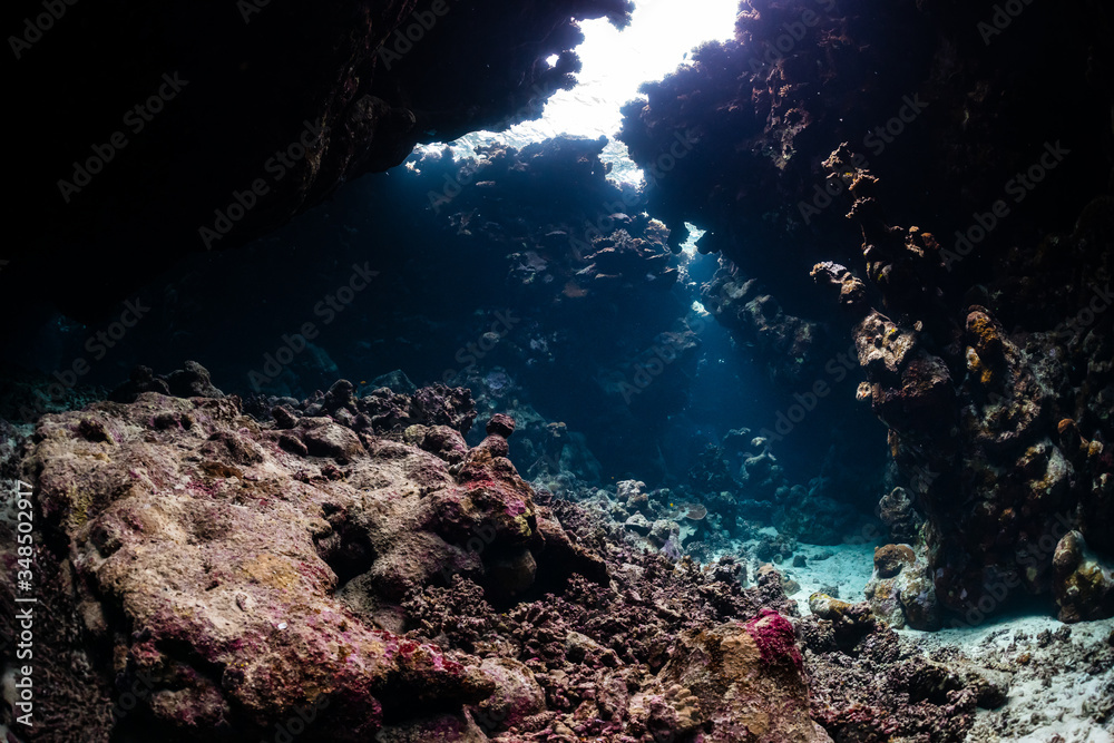 typical underwater cave in a red sea reef Stock Photo | Adobe Stock