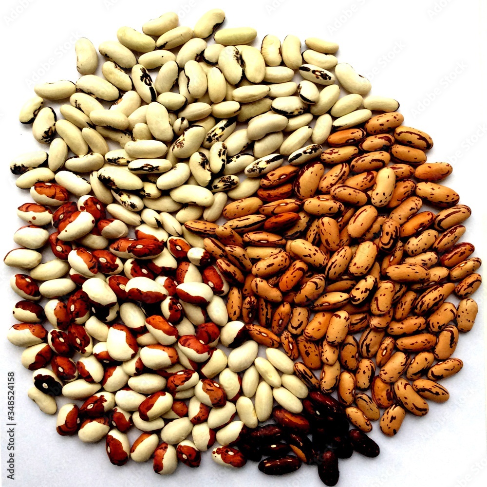 Beans of bean ( beans ). Background of many grains of dried beans ...