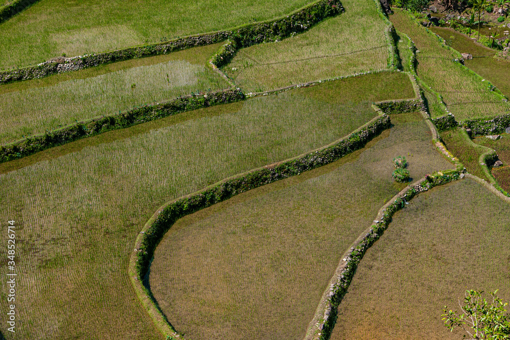 A detail to the Banaue rice terrace at hungduan rice terraces - ifugao ...
