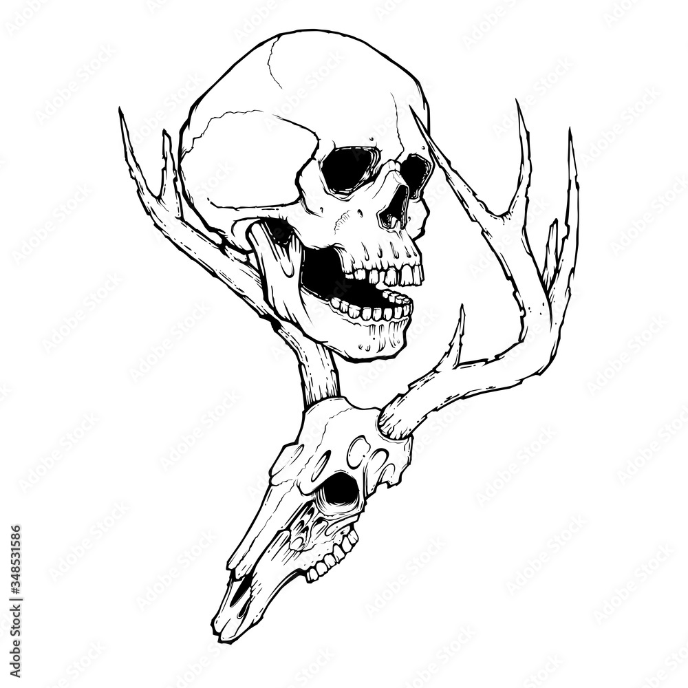 deer skull and human skull on isolated background. vector illustration ...