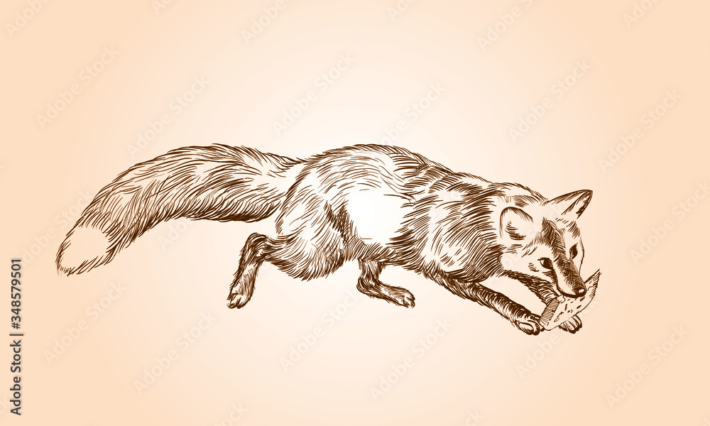 Fox hunting sketch. Hand drawn vector illustration made with pen and ...
