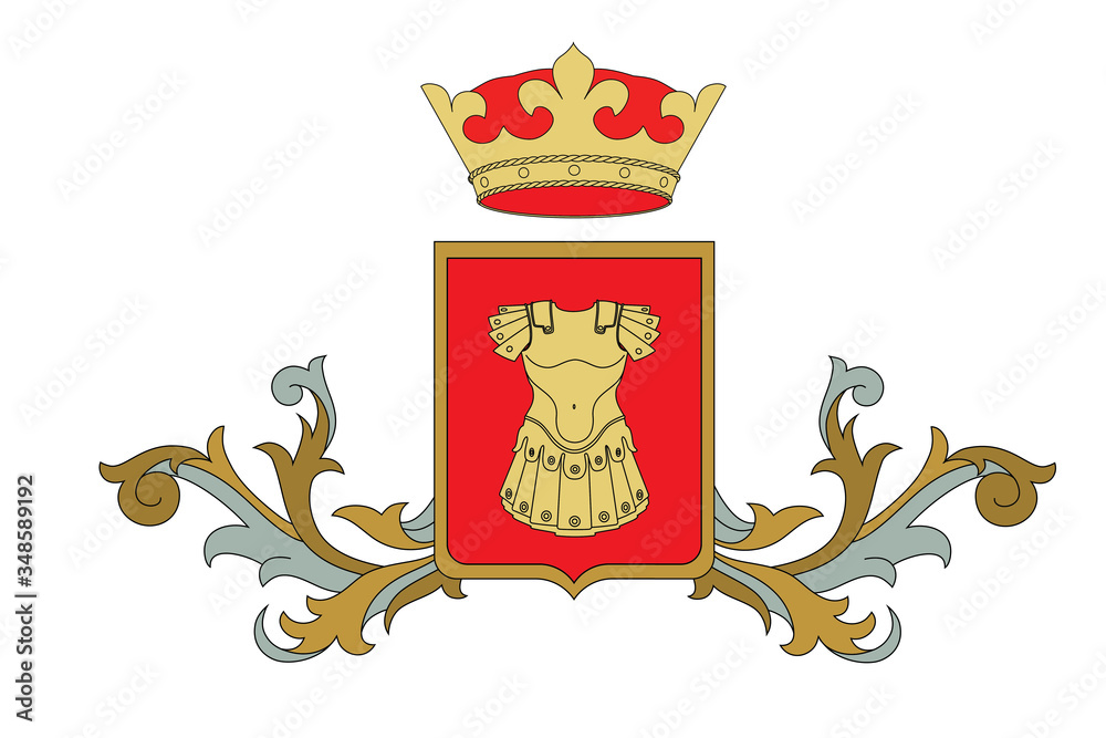 A coat of arms crest heraldic medieval knight or royal family shield ...