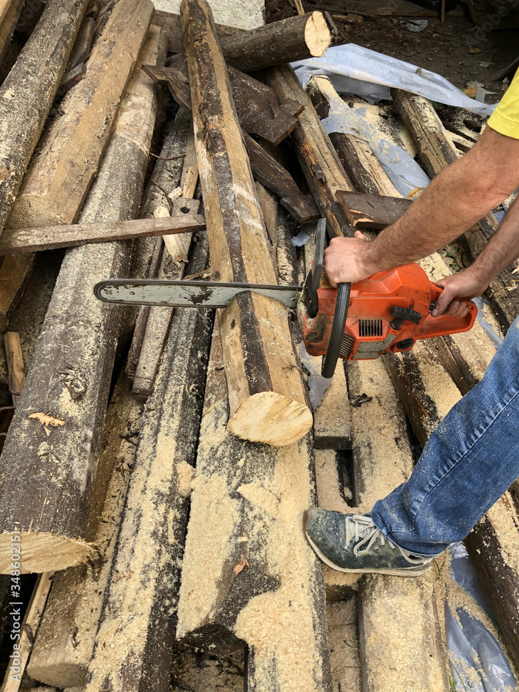 motosega taglialegna Stock Photo | Adobe Stock