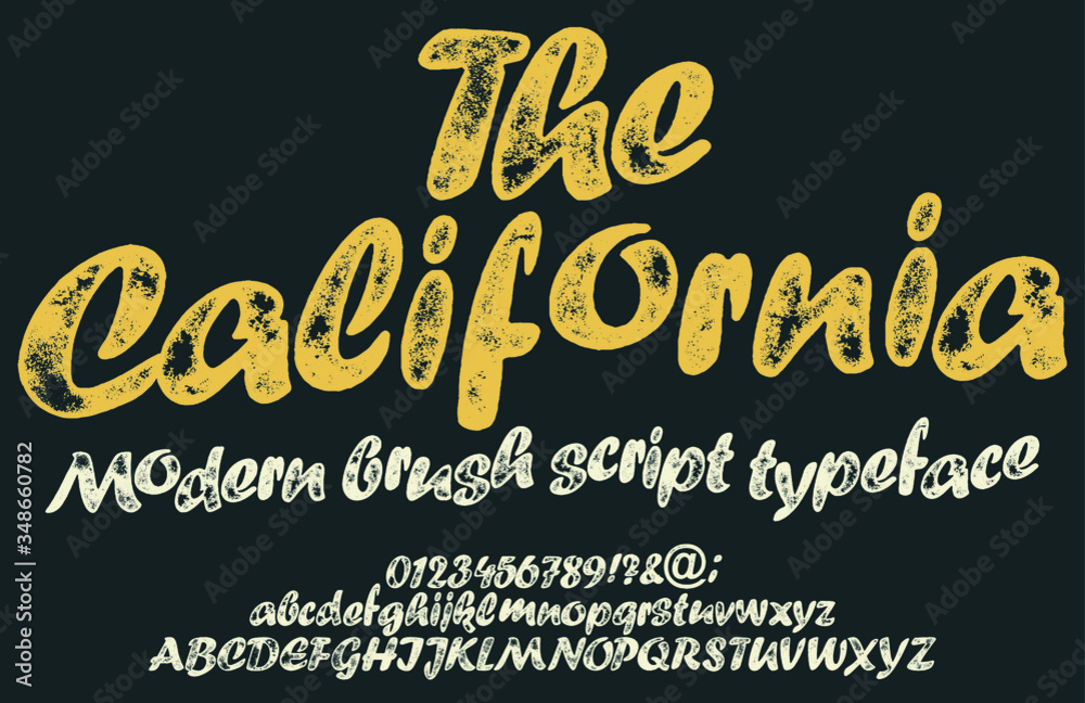 Vintage brush script lettering font, handwritten calligraphic alphabet ...