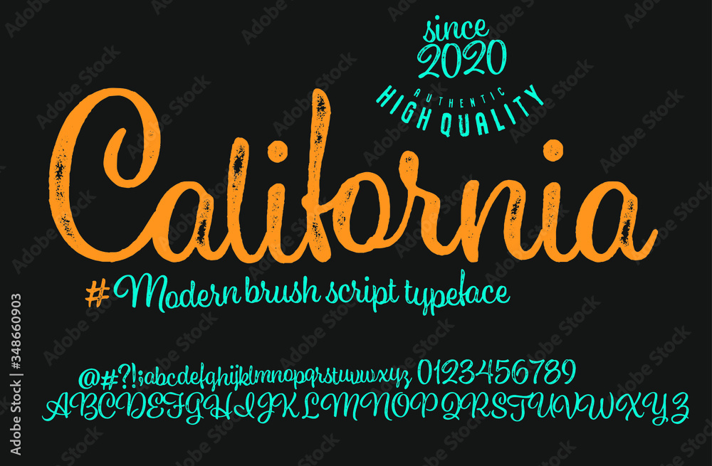Vintage brush script lettering font, handwritten calligraphic alphabet ...