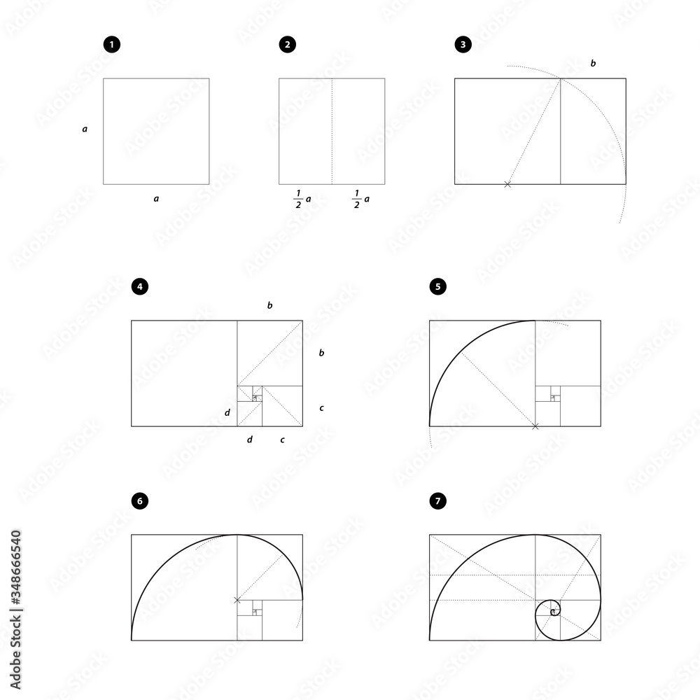 Golden ratio, spiral construction. Line design, editable strokes ...