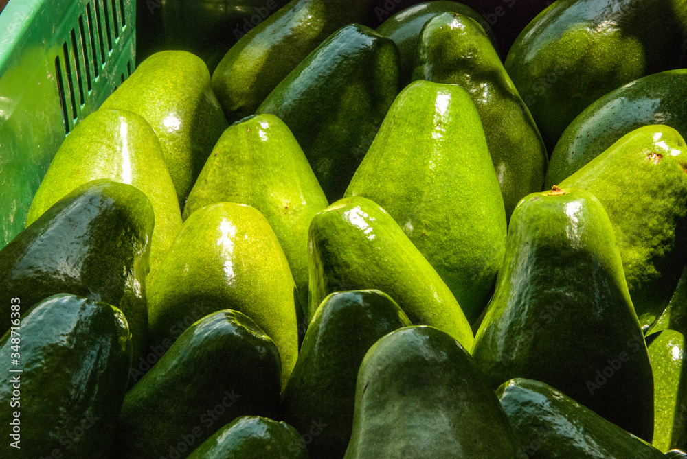 aguacate alimento de color verde de buen sabor Stock Photo | Adobe Stock