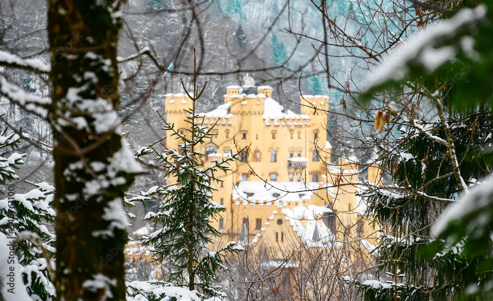 Hohenschwangau castle and coniferous trees. Yellow, a small castle in ...