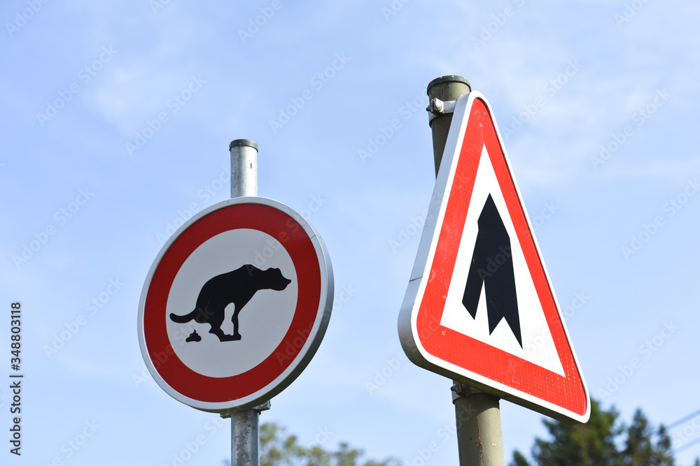 signalisation panneaux conduite circulation priorité chien incivilité ...