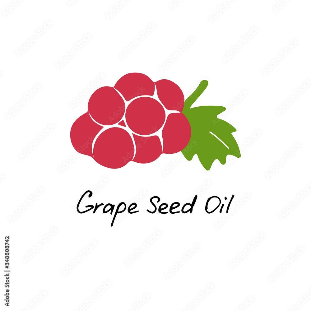 Grape seed oil. Cosmetic ingredient. Nutritional oil for skin care and ...