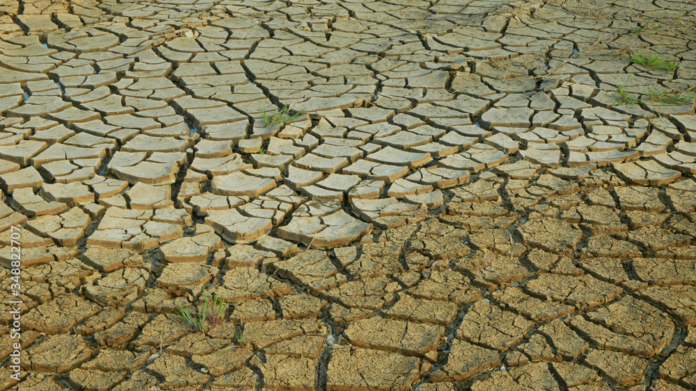 Drought cracked pond wetland, swamp drying up soil crust earth climate ...