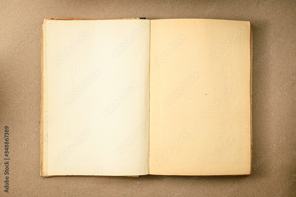 open old book with blank pages. empty blank template old book pages ...