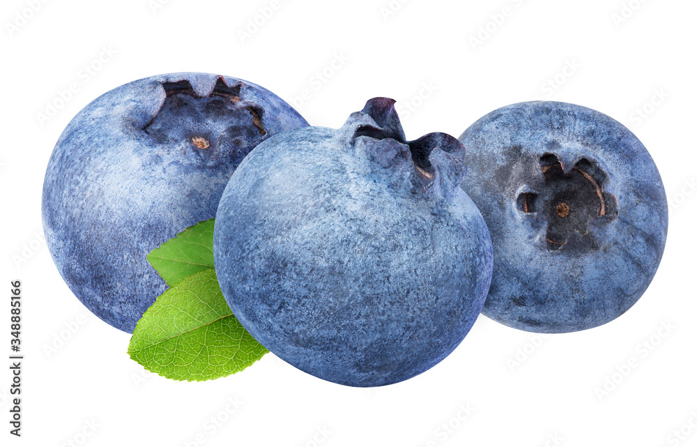 Blueberries on white background Stock Photo | Adobe Stock