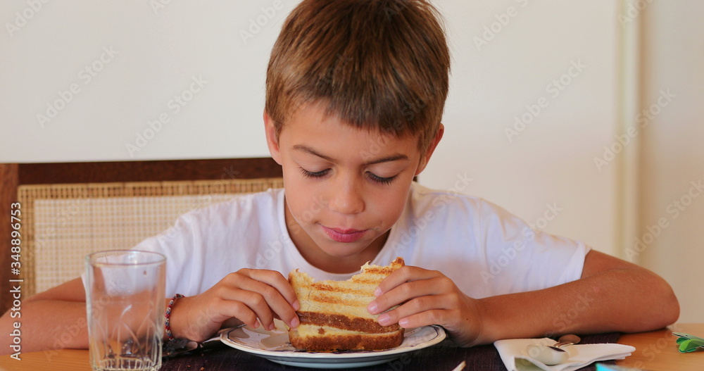 Child eating sandwich handsome young boy taking a bite of his ham and ...