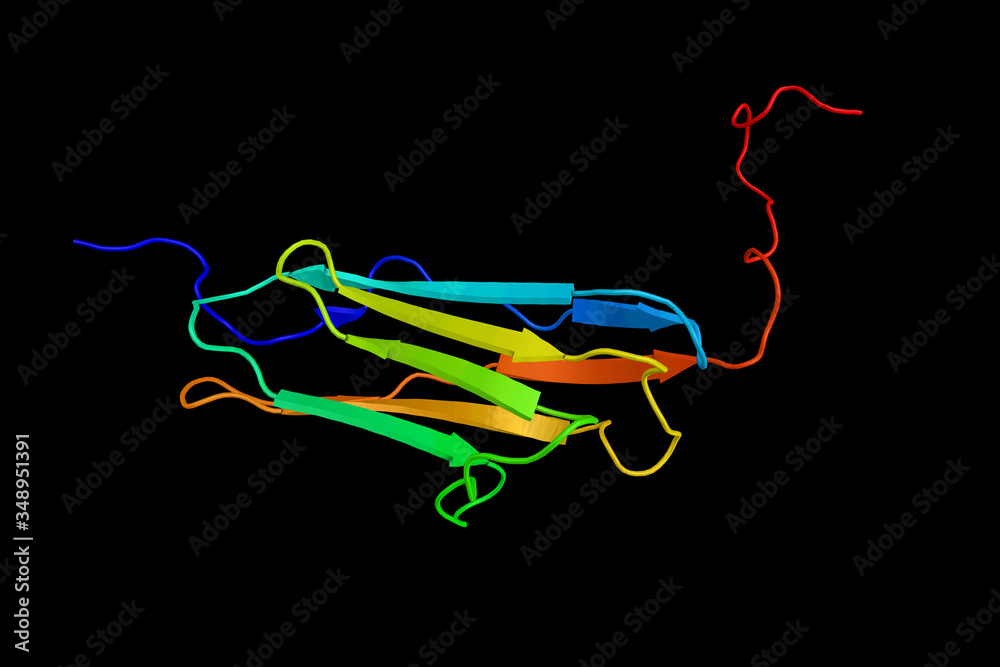 Stockillustratie Myosin light chain kinase, smooth muscle, an enzyme ...