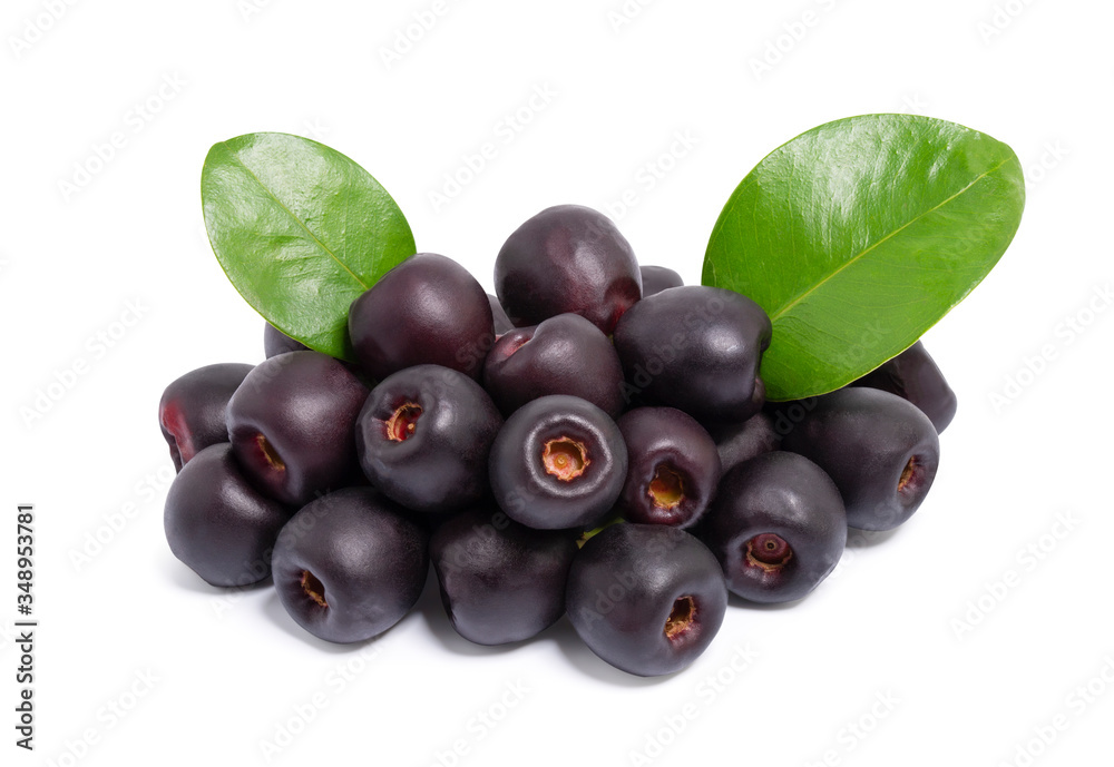 Jambolan plum or jambul or Jamun fruit, Java plum (Syzygium cumini ...
