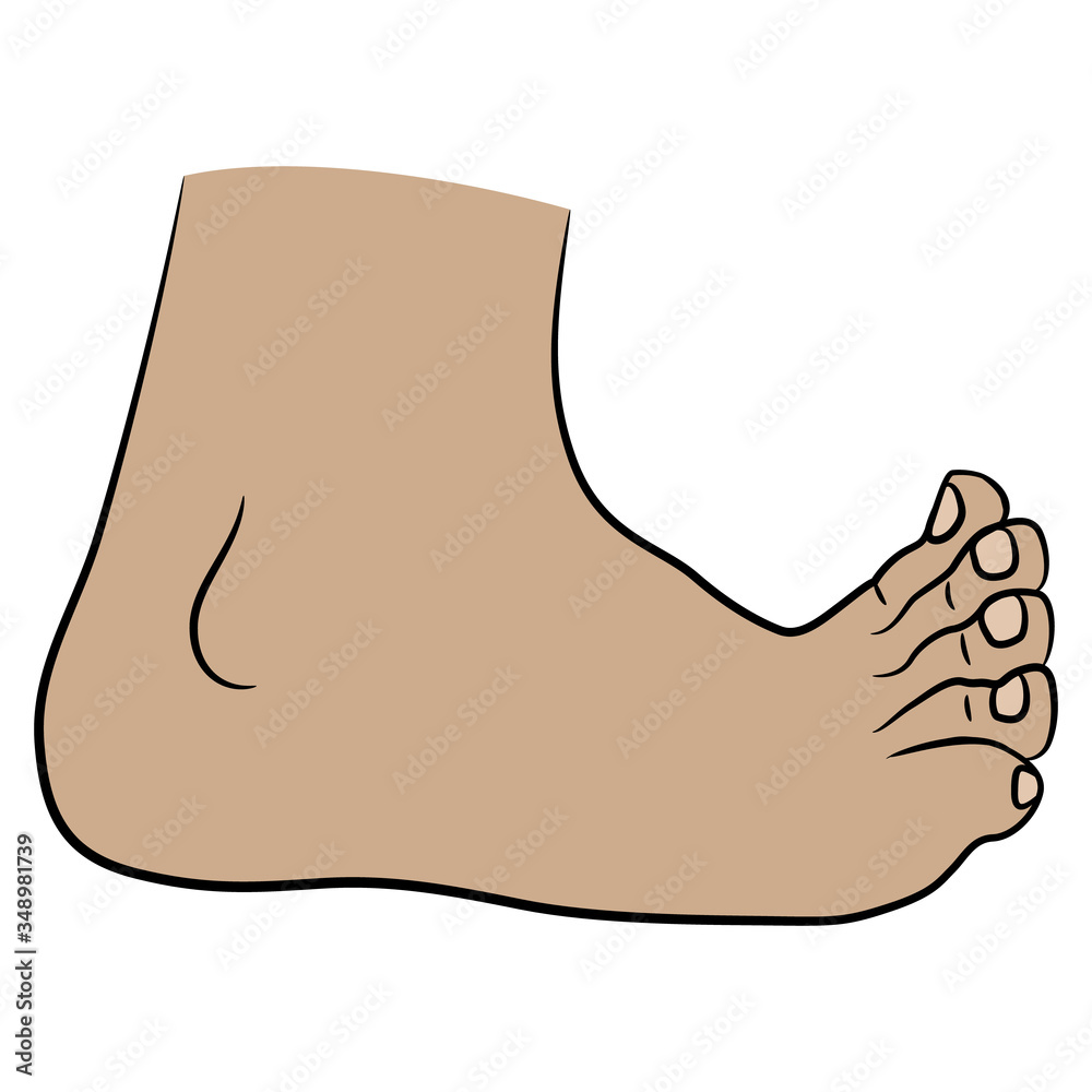 Isolated vector illustration. Bare human foot with funny toes. Cartoon ...