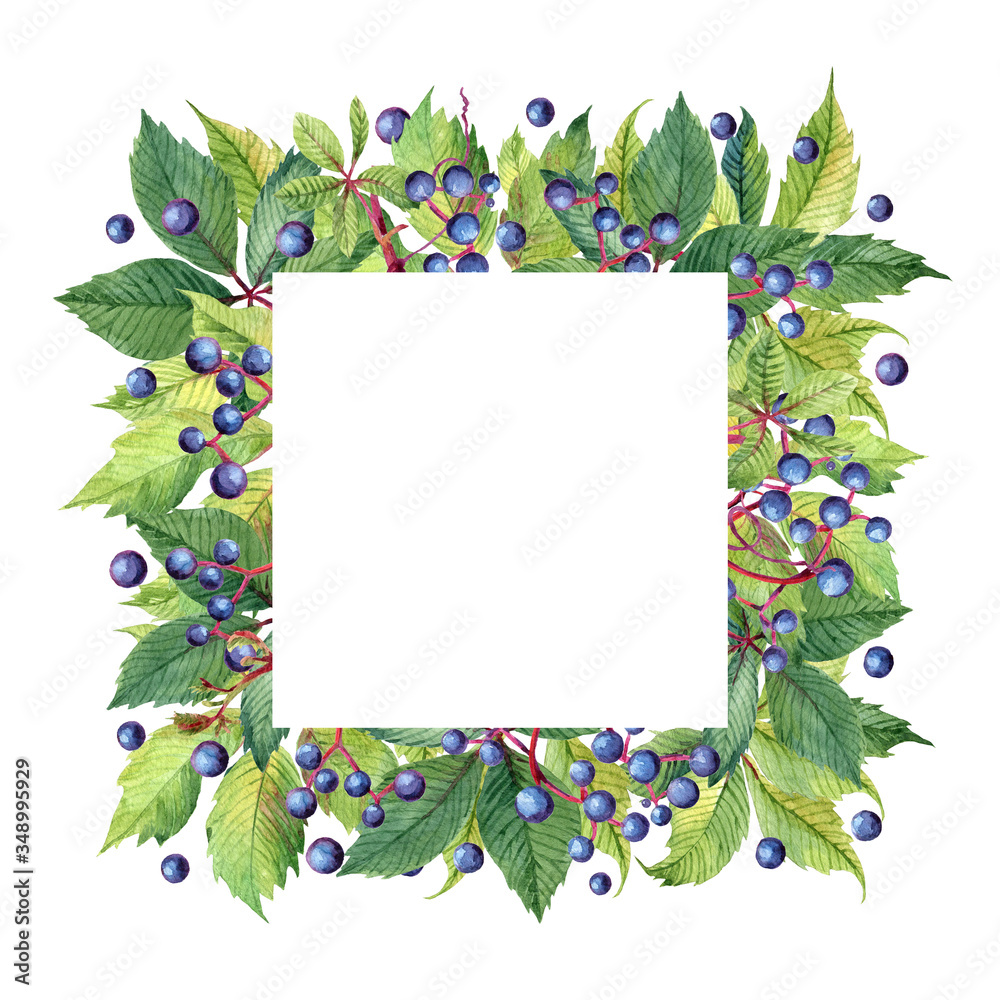 Square frame with grape leaves and berries in watercolor style. Wild ...