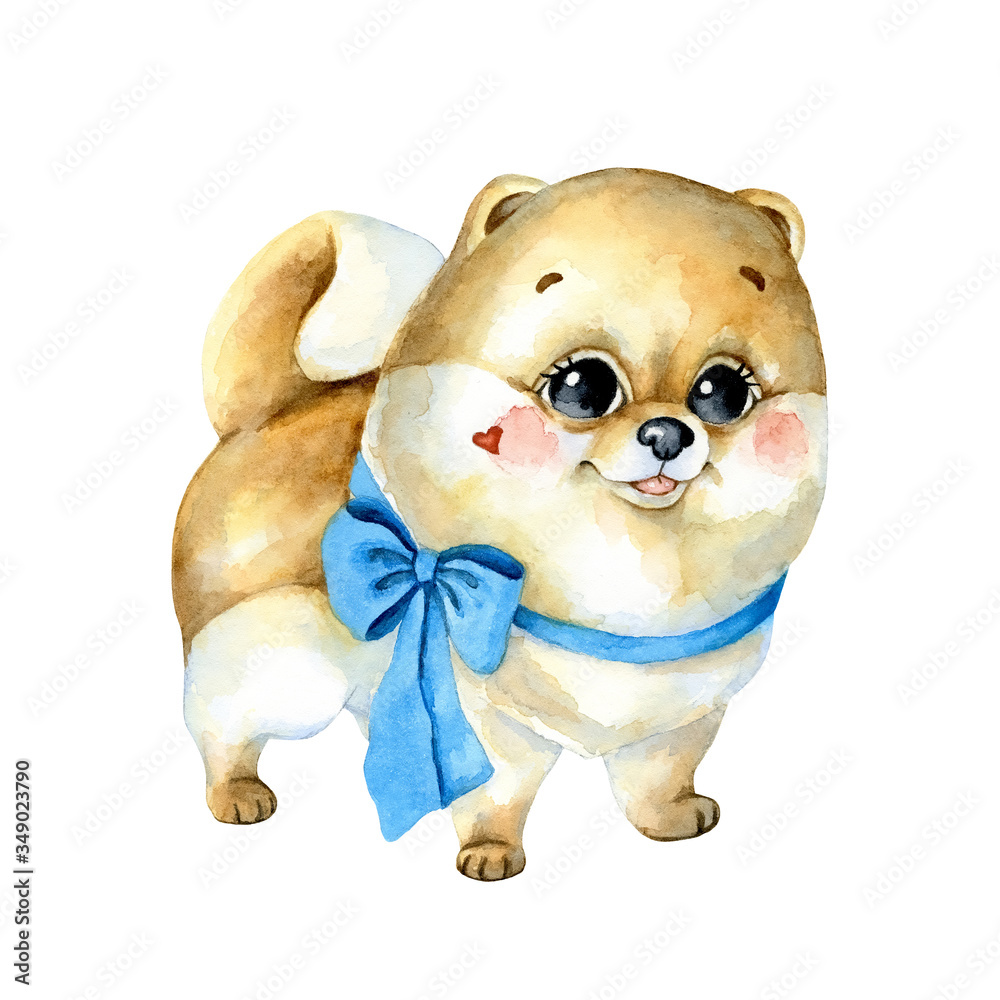 Watercolor illustration of a cute cartoon Spitz dog isolated on white ...