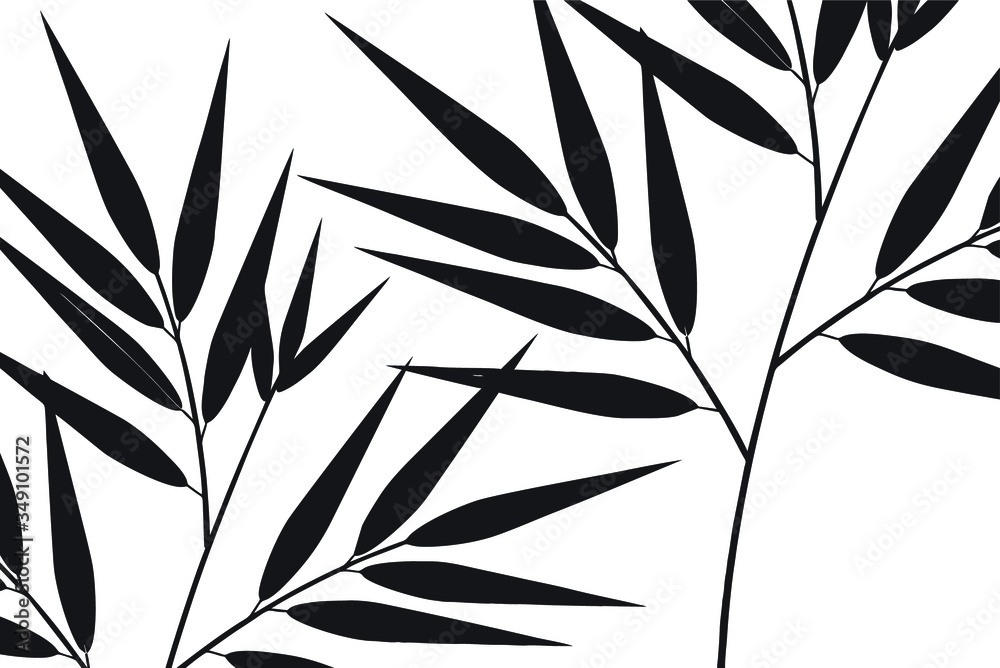 Bamboo leaf composition in design. Vector romantic landscape with ...