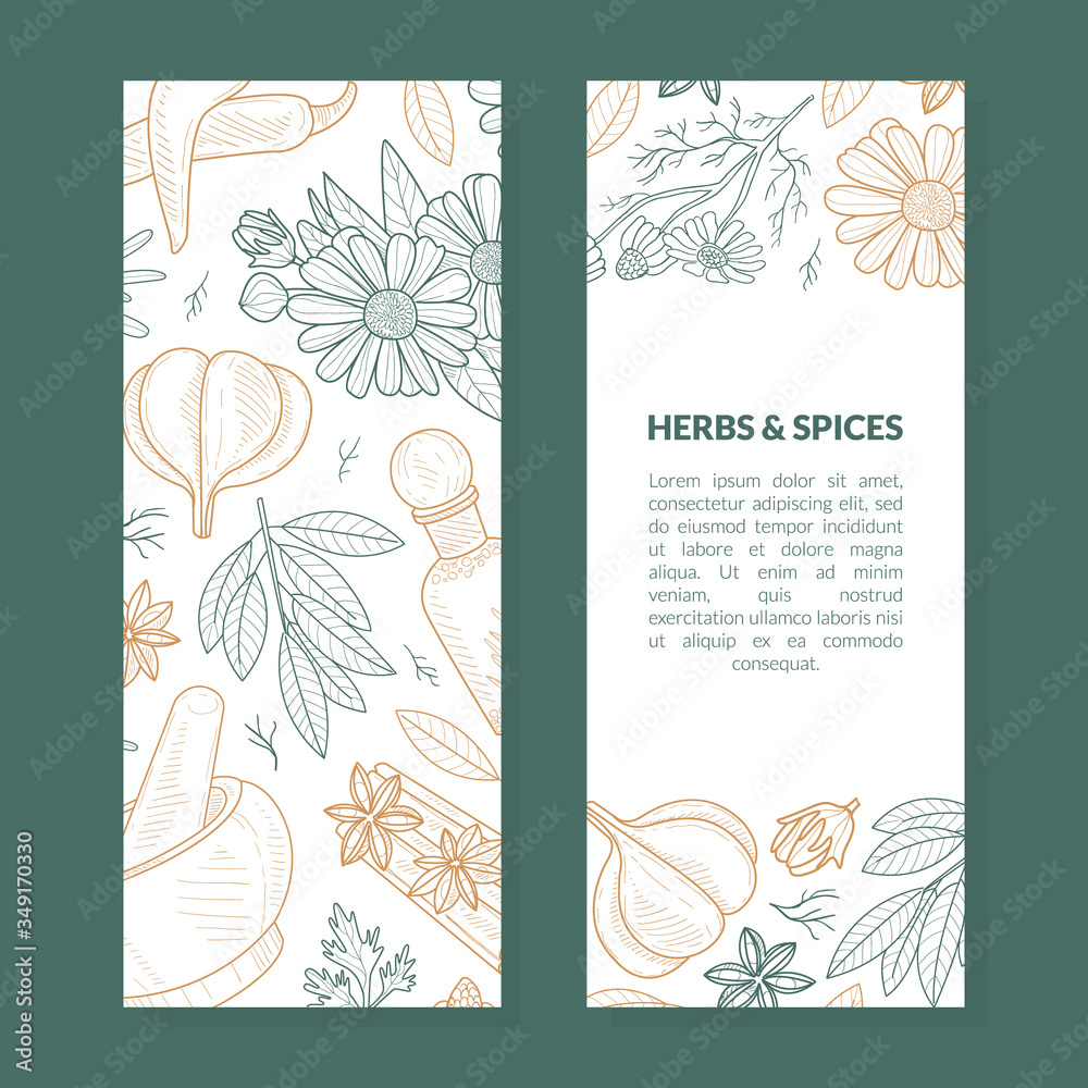 Herbs and Spices Card Template with Natural Organic Healthy Products ...