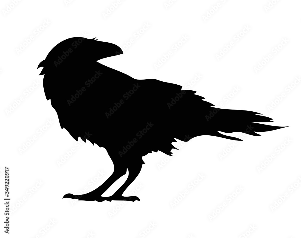 vector crow illustration drawing image Stock Vector | Adobe Stock
