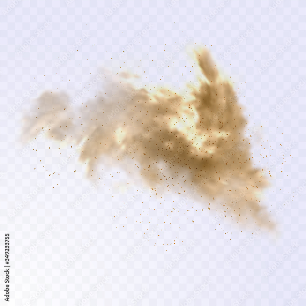 Dust cloud with particles. Realistic vector illustration on transparent ...