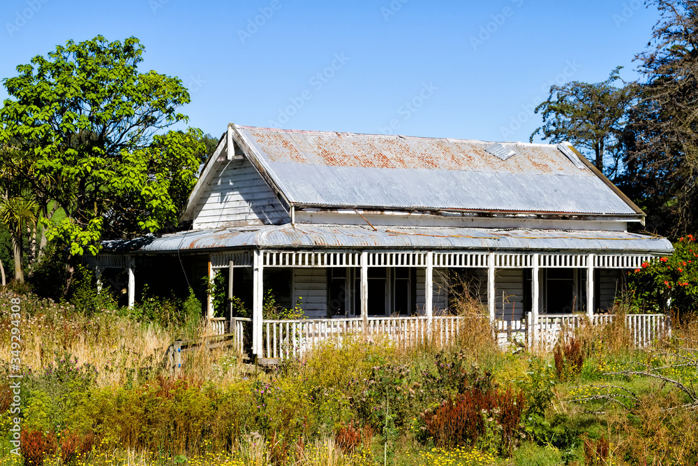 Ruined and forgotten cabin in the middle of the farm in New Zealand ...