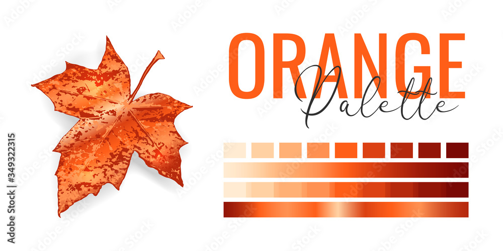 Fashion bright orange metallic color trend. Colour palette with ...