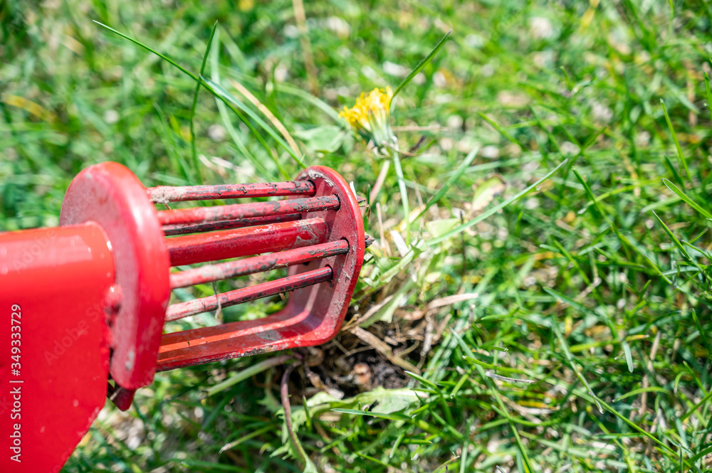 Mechanical device for removing dandelion weeds by pulling the tap root ...