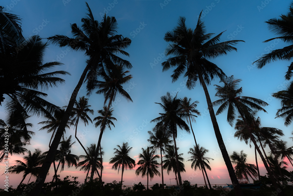 Siargao Island The Pilippines Stock Photo | Adobe Stock